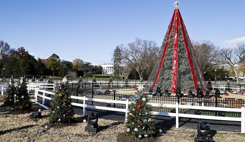 How to Create the Look of the National Tree at Home