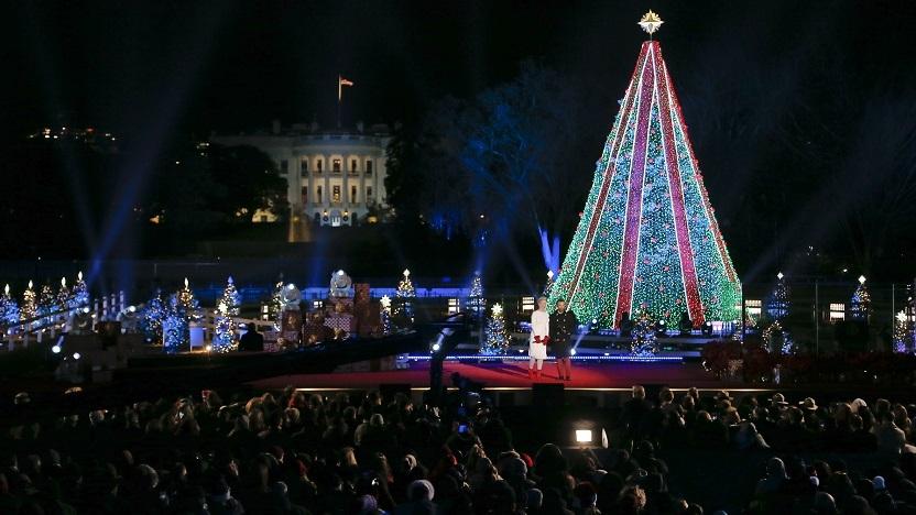How to Create the Look of the National Tree at Home