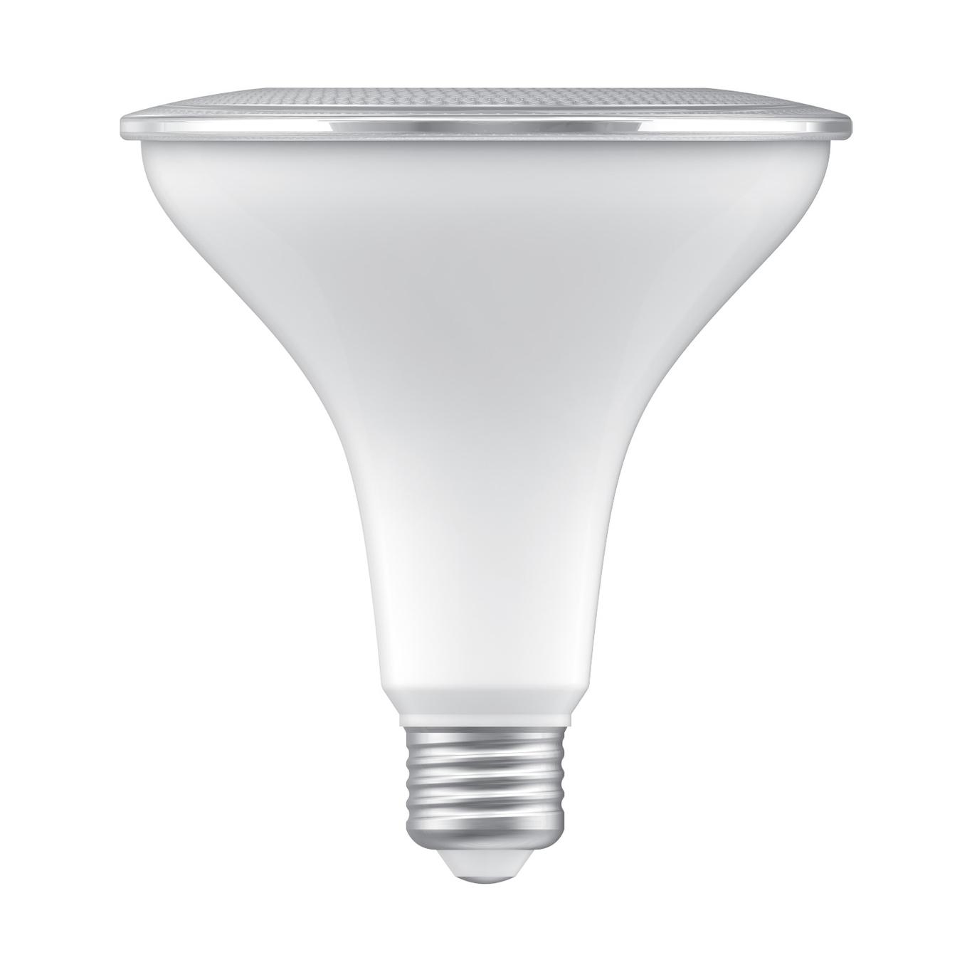 GE Classic LED 100 Watt Replacement, Warm White, PAR38 Outdoor ...