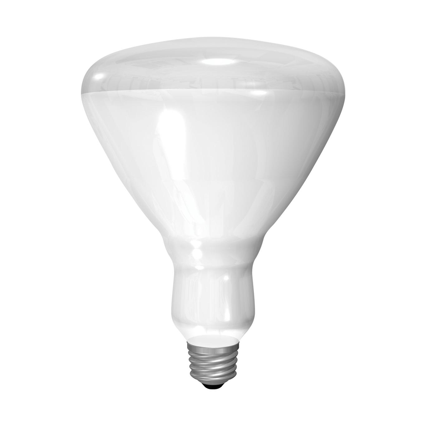 GE Incandescent Heat Lamp, 250 Watts, BR40 Bulb (1 Pack)