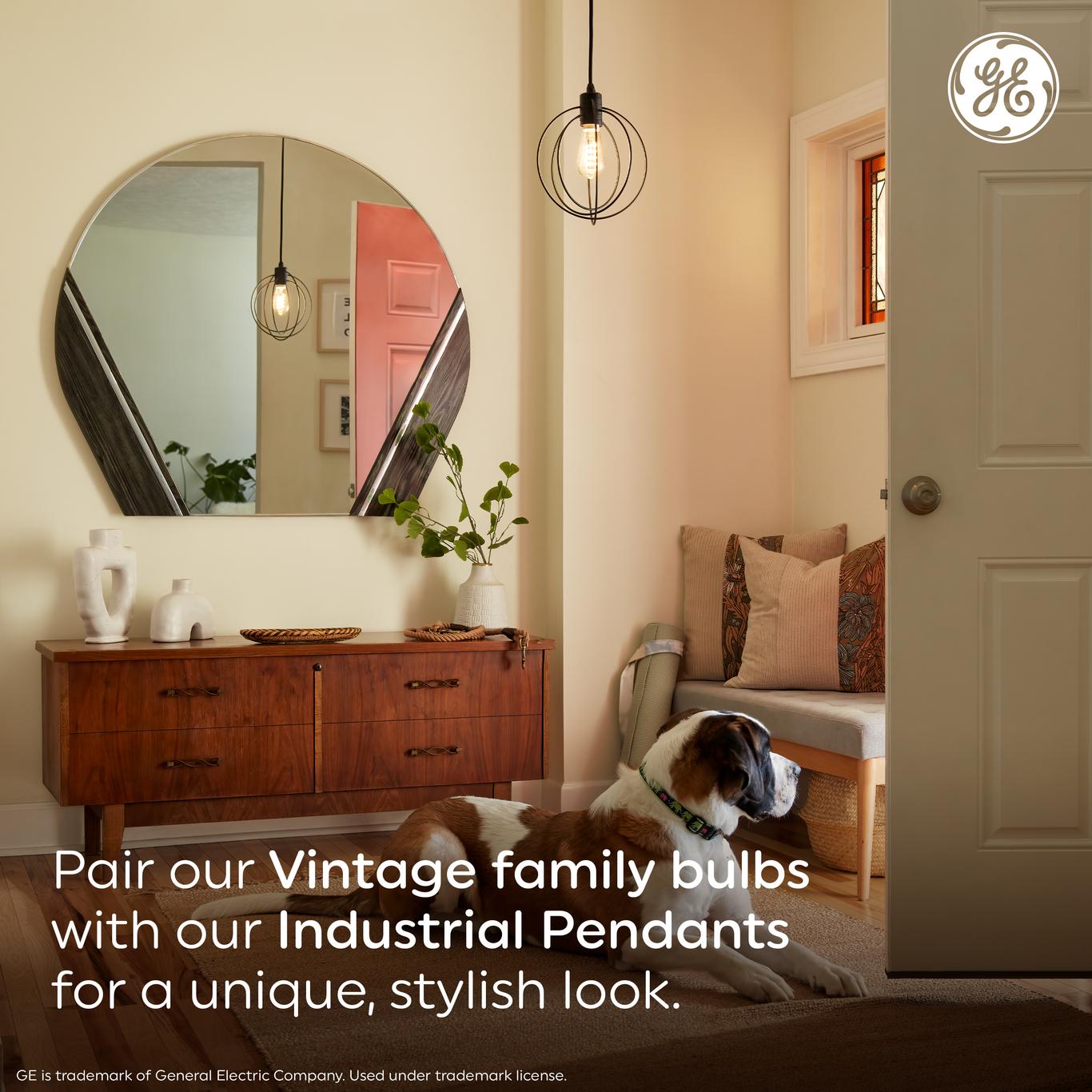 GE Vintage LED 60 Watt Replacement, Candlelight, ST19 Edison Bulbs (2 Pack)