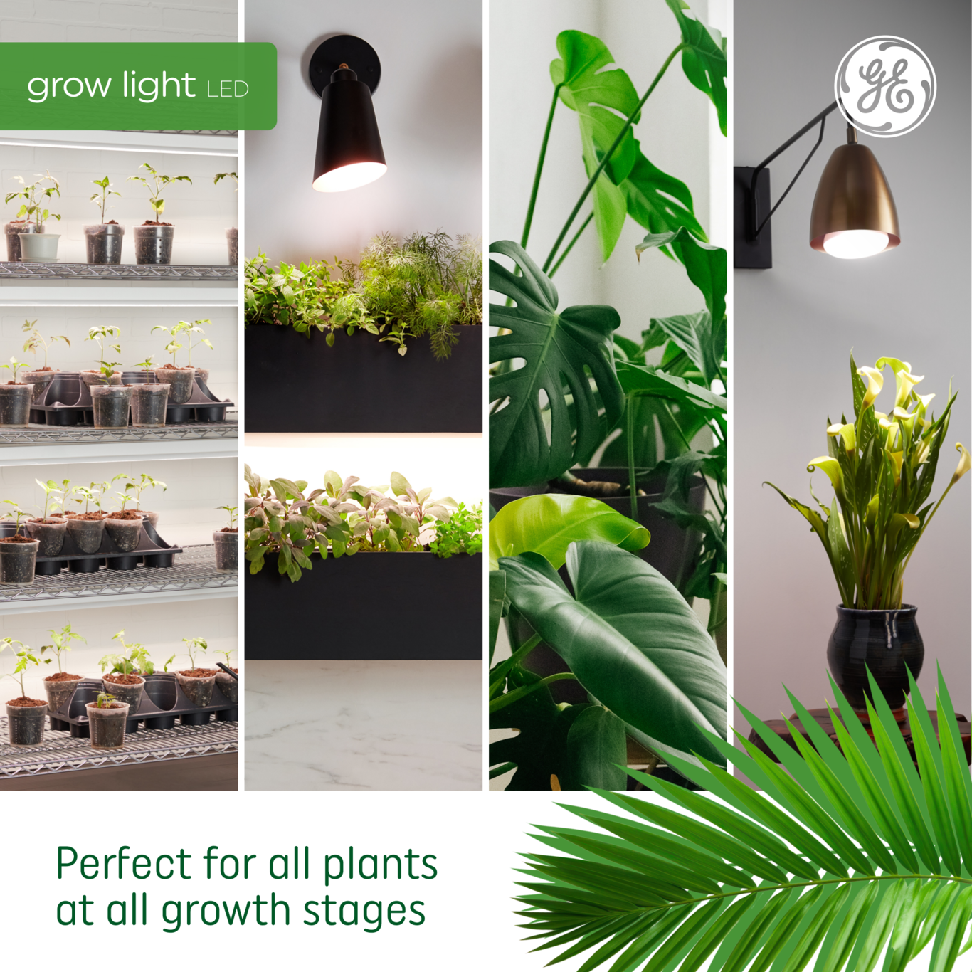 GE Grow Light for Plants, LED Plant Light Fixture for Seeds and Greens ...