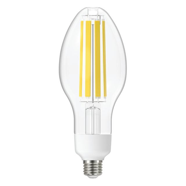 watt bulb