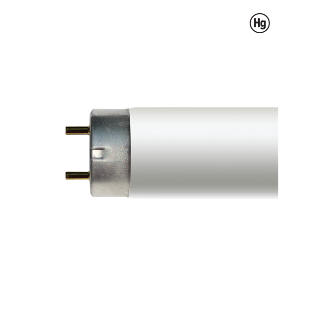 GE Bright White 32 Watt 22.99 Inch T8 2G13 Base Fluorescent Tube 1 Pack